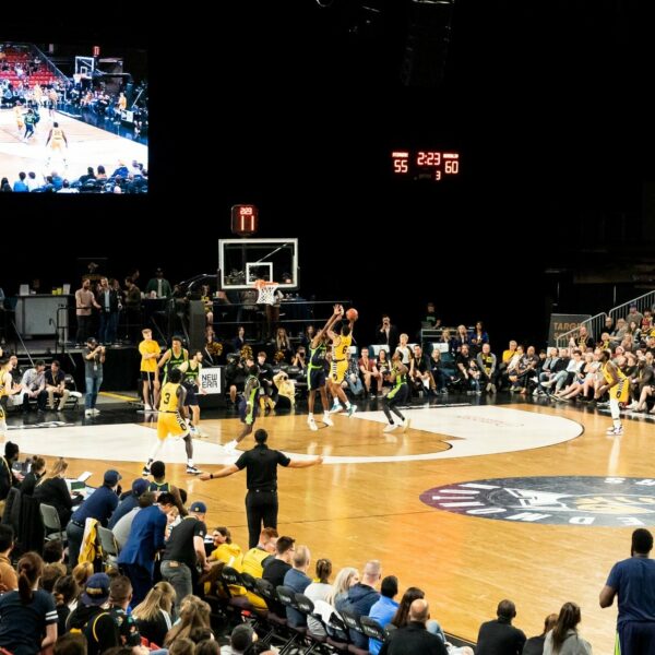 Edmonton Stingers Contest | Explore Edmonton