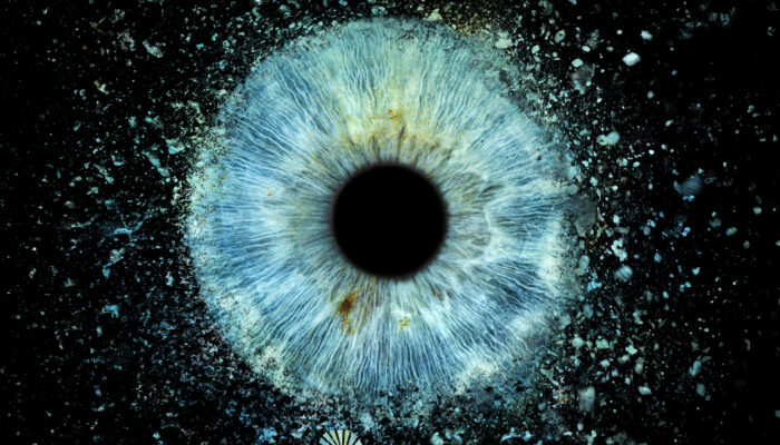 Eyemazy | Explore Edmonton