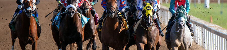 Century Mile Racetrack and Casino | Explore Edmonton