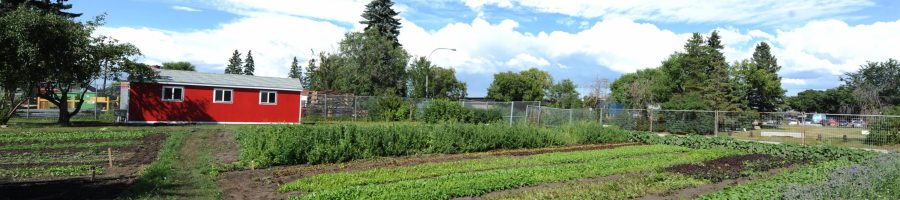 Edmonton Urban Farm | Explore Edmonton