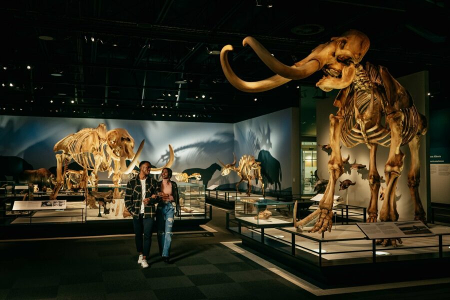 Plan your visit to Edmonton's Royal Alberta Museum | Explore Edmonton
