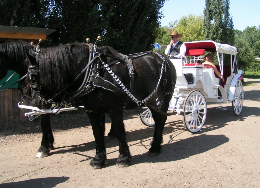 Prairie Gardens and Adventure Farm | Explore Edmonton