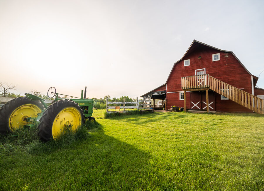 Farm to Table Dinner with Villa Bistro Feat. Lazuli Farms | Explore ...
