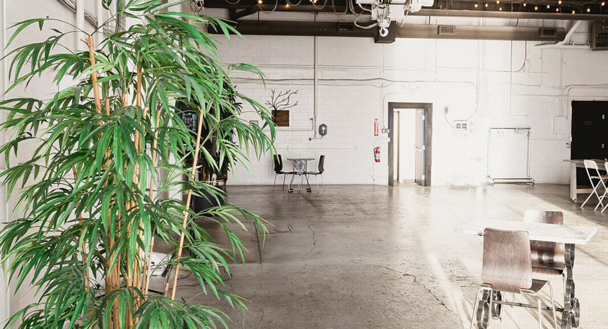 The Creative Hive | Explore Edmonton
