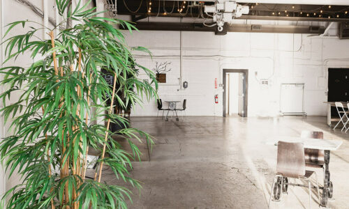 The Creative Hive | Explore Edmonton