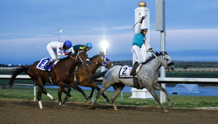 Century Mile Racetrack and Casino | Explore Edmonton