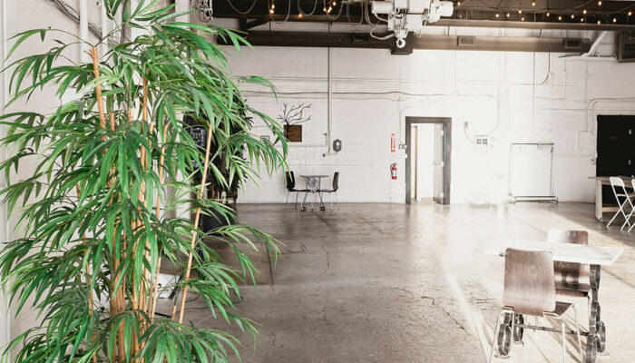 The Creative Hive | Explore Edmonton