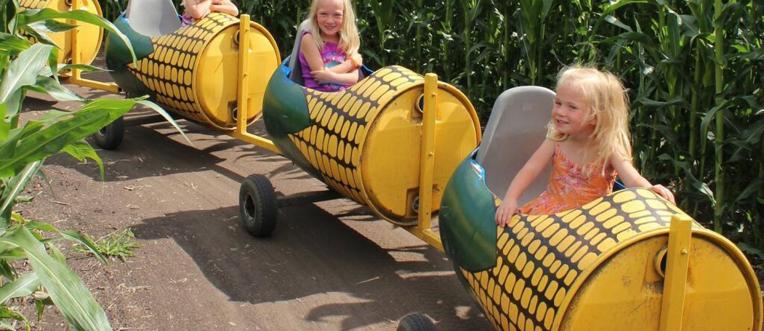 Edmonton Corn Maze | Explore Edmonton | Explore Edmonton