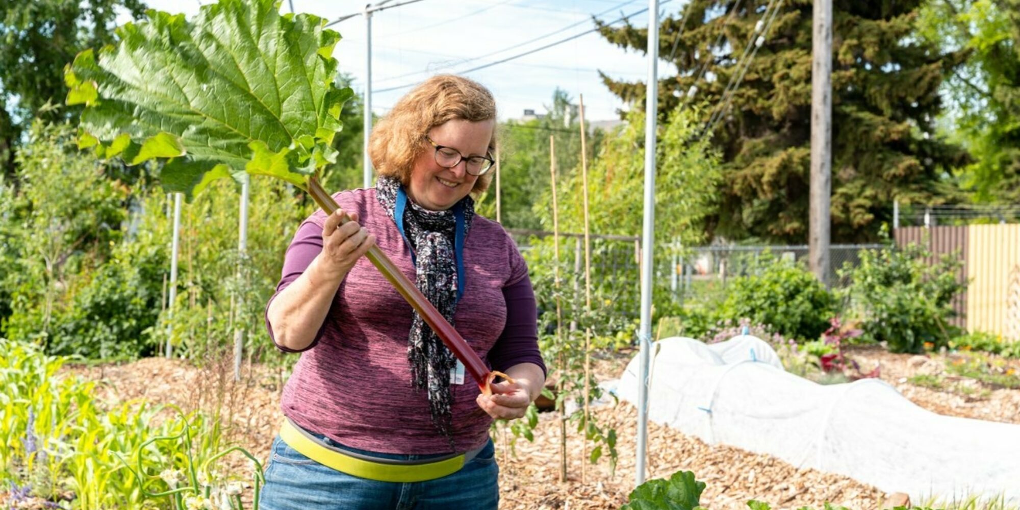 Edmonton Urban Farm | Explore Edmonton